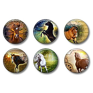 Cute Locker Magnets for Teens - Horse Magnets - School Supplies - Whiteboard Office or Fridge - Funny Magnet Gift Set (Horses)