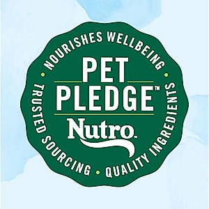 NUTRO Limited Ingredient Diet Small Bites Adult Dry Dog Food Lamb & Sweet Potato Dog Kibble, 22 lb. Bag