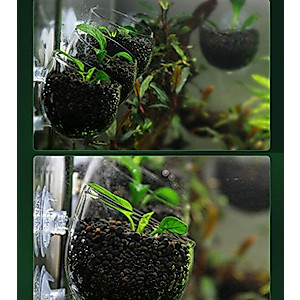 Tfwadmx Plant Pot Aquarium Decor Aquatic Plant Cup with 2 Suction Cup for Fish Tank Aquarium Aquascape(2 Pack)