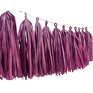 15 Pcs Burgundy Tassel Garland Wedding Party Supplies Decoration Tassel Banner for Birthday Baby Shower Bridal Shower Bachelorette Decoration