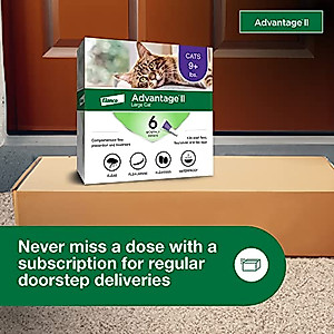 Advantage II Large Cat Vet-Recommended Flea Treatment & Prevention | Cats Over 9 lbs. | 6-Month Supply