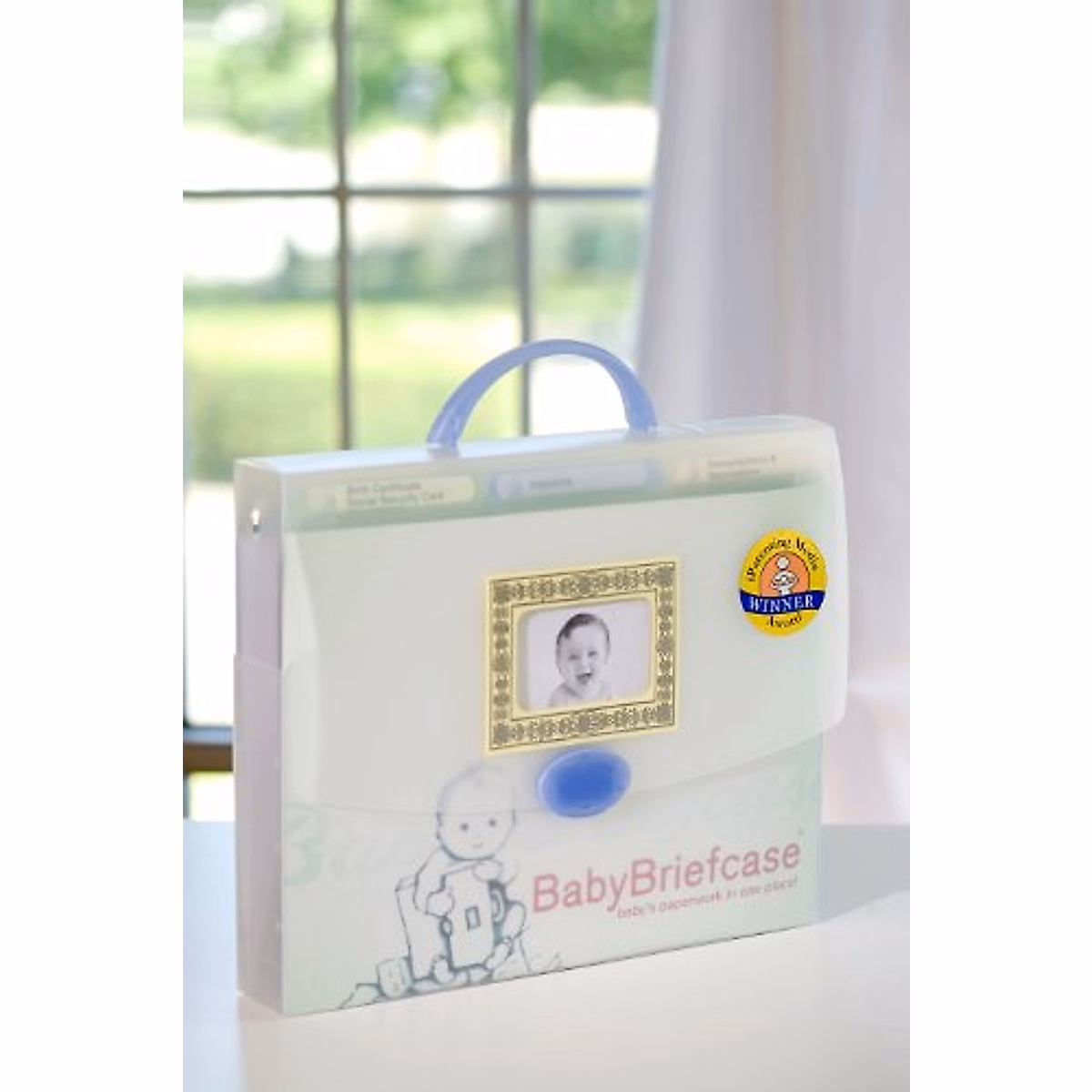 Baby Briefcase Baby Paperwork Organizer, Mint/Periwinkle