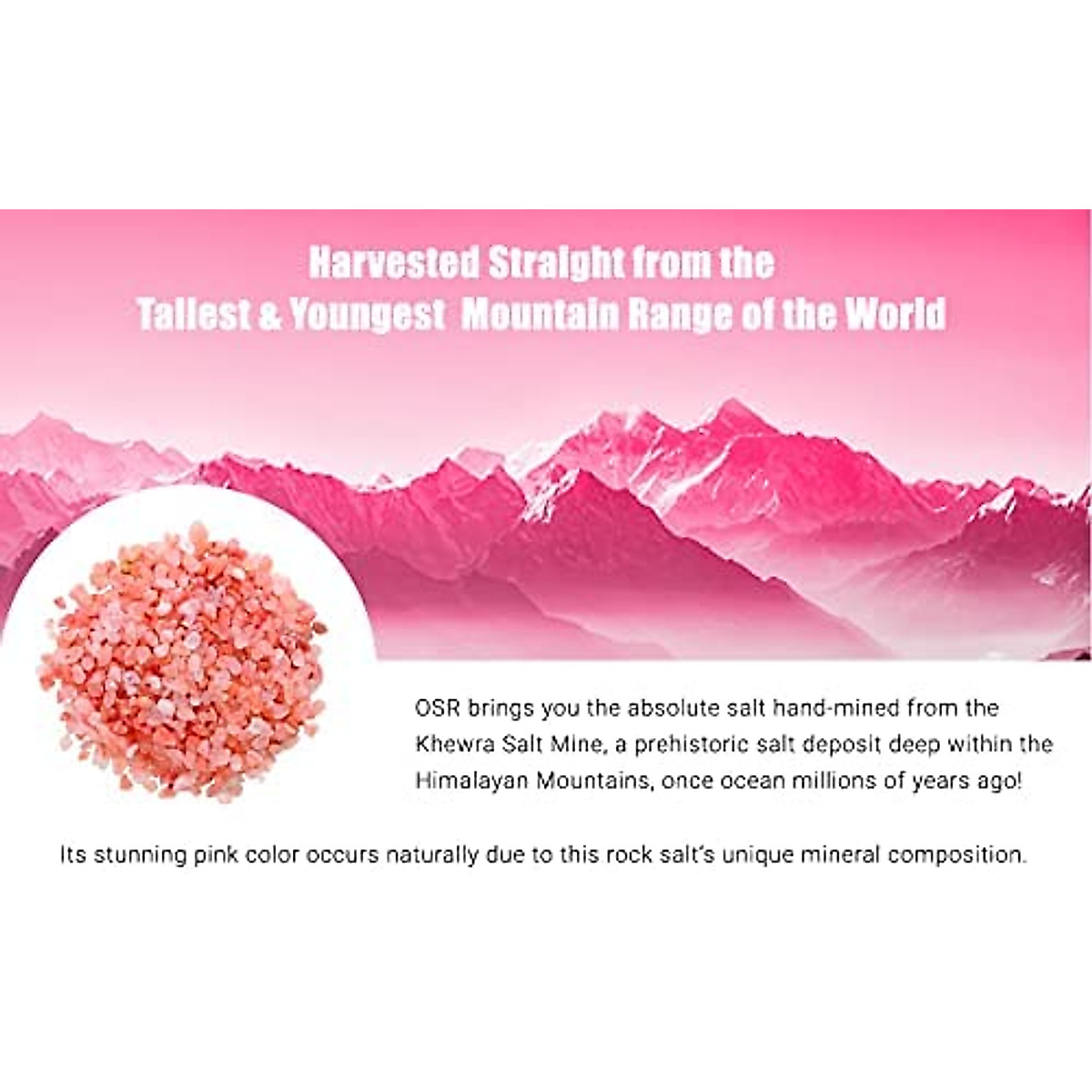 OSR Chef Himalayan Pink Salt | Coarse 5 lbs Bag (Pack of 1) | Hand Extracted at the foothill of Himalayan Range | Earthy Flavor | Nutrient and Mineral Dense | For Grinders and Salt Mills