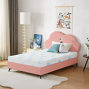 VFD Twin Mattress 5 Inch, Medium Firm Memory Foam Mattress with Removable Washable Cover Bed in a Box with Zip Cover Dolphin Pattern, CertiPUR-US Certified (5 in, Twin)