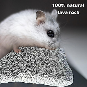 MUYG 5.12 Inch Rabbit Lava Blocks,6 Pcs Small Animals Chews Toys High Calcium Hamster Lava Teeth Grinding Stone for Rabbits Guinea Pig Rats Bunny Hamsters Chinchilla(White)