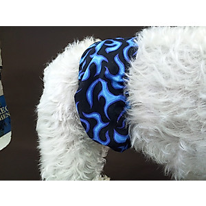 Seasonals Reusable Male Dog Diapers| Leak-Proof, Washable, Doggie Diaper| Male Dog Wraps| Dog Belly Bands (King)