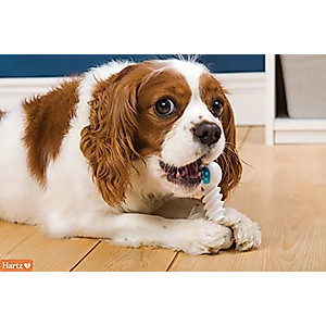 Hartz Chew ‘n Clean Twisty Bone Dog Chew Toy, Bacon Scented for Moderate Chewers, Extra Small
