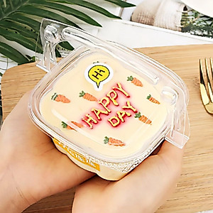 OUKEYI Cake Slice Plastic Containers with Lids, Portable transparent flower basket thousand layer cake packaging box， Food Box, Take Out Togo Packaging for Home, Bakery and Cafe Business (25 Pack)