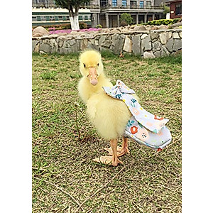 HEZHUO Duck Diapers, Chicken Diapers, Special Diapers for Poultry, Chicken, Duck and Goose Waterproof, Adjustable, Washable and Reusable Diapers，Poultry Supplies, Duck Supplies (M:200g-250g)