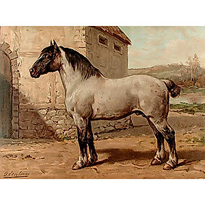 Het Bretagner Paard [Breton Horse]