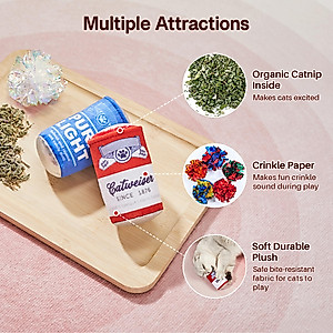 Potaroma Beer-Simulation Cat Toys 2Pcs Catnip Crinkly Sound Toy, Durable Kitten Bite Kicker Toys, Indoor Feline Exercise 4.0 Inches for All Breeds
