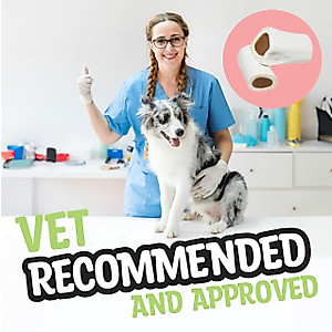 Pasture Paws Stuffed Shin Bones for Dogs | Peanut Butter Filled Dog Bones for Large, Medium and Small Breeds | Highly Irresistible Puppy Chew Bones | 2” to 3" All Natural Dog Bones | Pack of 6