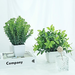 summer flower 2 Pack Fake Plants in White Pot Small Artificial Eucalyptus Potted Plants (Green-01)