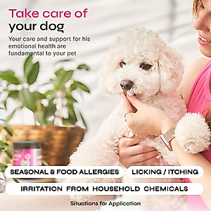 Dog Allergy Relief Chews - Dog Itching Skin Relief - Anti Itch for Dogs - Dog Itch Relief Chews - Hot Spot Treatment - Seasonal Allergy Support Supplements - Allergy Chews - Allergy Immune Treats