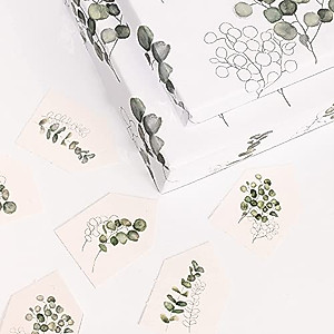 CENTRAL 23 Pretty Wrapping Paper (x6) Sheets - Gift Wrap for Her - For Men Women - Eucalyptus Plants - Green White - Recyclable