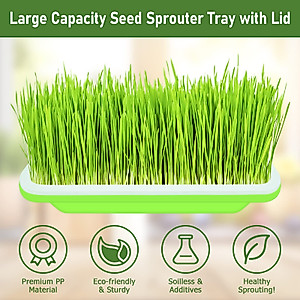 Legigo 10 Pack Green Seed Sprouter Trays- Soil-Free Cultivation Germination Tray, BPA Free Nursery Tray with Planting Paper for Indoors or Outdoors Sprouting Seeds, Grow Grass, Beans (Without Lids)