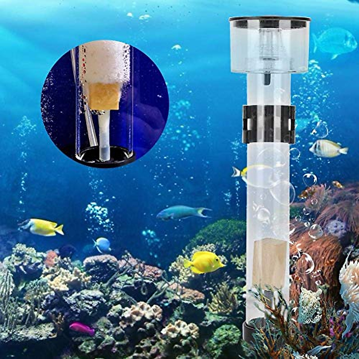 Protein Skimmer Aquarium Filters Acrylic Fish Tank Filter Separator with IQ5 Aquarium Filter Accessory