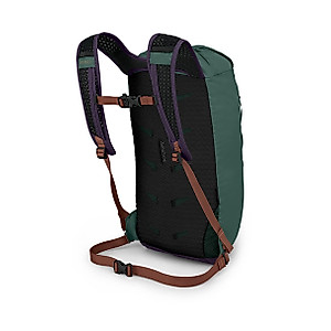 Osprey Daylite Cinch Daypack, AXO Green/Enchantment Purple