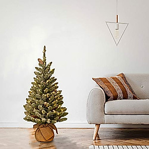 National Tree Company Pre-lit Artificial Mini Christmas Tree | Includes Small White LED Lights and Cloth Bag Base | Snowy Concolor Fir Burlap - 3 ft, Brown/Green