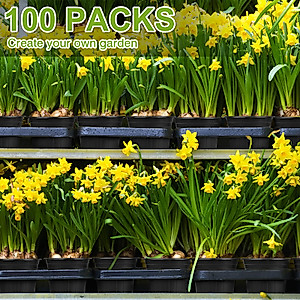 GroTheory 100 Pack 1 Gallon Nursery Pots, Plastic Pots for Plants, Plastic Flower Pots, Plastic Plant Pot, Seedling Pots for Potting, Seed, Succulent, Planting Pots with Plant Labels, 6.7 Inch