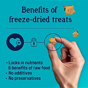 Stewart Freeze Dried Dog Treats, Wild Salmon, 2.75 oz Grain Free & Gluten Free, Resealable Pouch, Single Ingredient, Training Treat in Beef Liver, Salmon, Chicken Liver & Chicken Breast 4, 14, 21 oz