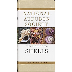 National Audubon Society Field Guide to North American Seashells