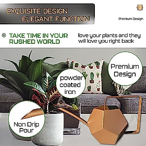 Copper Watering Can with Long Spout + Brass Plant Mister Sprayer for Houseplants Succulents Airplants