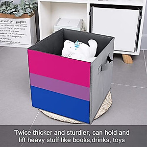 Bisexual Pride LGBT Flag Collapsible Storage Bins Basics Folding Fabric Storage Cubes Organizer Boxes with Handles