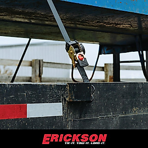 Erickson 34413 Pro Series Black 1" x 6' Retractable Ratcheting Tie-Down Strap, 1500 lb Load Capacity, (Pack of 2)