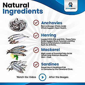 Omega 3 Fish Oil for Cats - Better Than Salmon Oil for Cats - Kitten + Cat Vitamins and Supplements - Cat Health Supplies - Cat Dandruff Treatment - Liquid Fish Oil for Pets - Cat Shedding Products