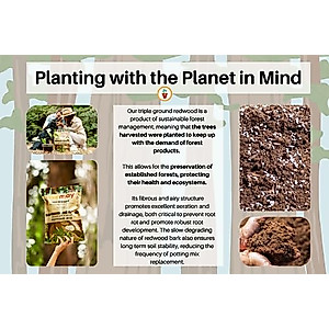 IvyMay Redwoods Potting Soil ― Organic Potting Mix for Indoor House Plants & Aroids, Ready to Use Potting Soil Indoor Plants with Perlite, Earthworm Castings, Essential Oils ― 4 qt