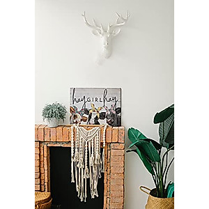 Funny Quote Cute Cows Canvas Wall Art Prints,Hay Girl Hay Wood Texture Paintings Prints,11x14 inches Artwork for Funny Farm Themed Decor Girl Room Farmhouse Bedroom Living Room Home