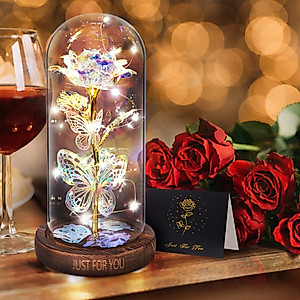 WOKEISE Mothers Day Rose Gifts for Mom,Wife,Grandma,Light Up Preserved Rose Flower Butterfly in Glass Dome,Personalized Birthday Gifts for Women,Girlfriend,Teenage Girls,Sister-Silver