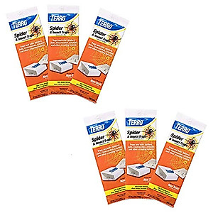 Terro T3206 Spider & Insect Trap (4 Count) (6 Pack)