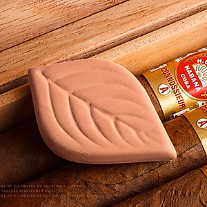 Junfamilee 1 Pc Brown Sugar Keeper Saver for Keeping Moist Fresh Reusable Leaf Clay Keep Conditioning Humidity Kitchen Gadgets Storage Containers Sets Food Containers（52 * 35mm）