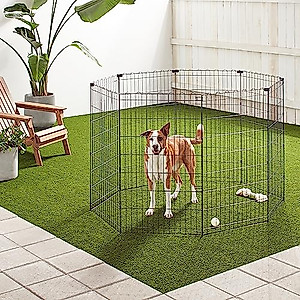 Amazon Basics Foldable Octagonal Metal Exercise Pet Play Pen for Dogs, Fence Pen, No Door, Large, 60 x 60 x 42 Inches, Black