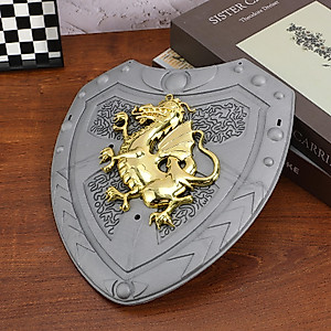 Toyvian Shield Toy Pirate Toy Boys Kids Toys Medieval Shield Toys for Kids Pretend Toys Kids Warrior Shield Party Decor Abs Silver Child Prom Decorate Kids Pirate Costume Kids Knight