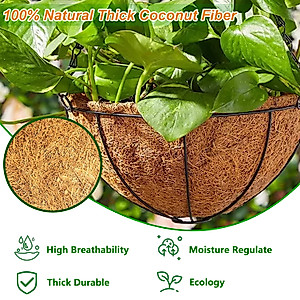 LCHUANG Coco Liners for Planters - 4 Pack 14 Inch Round Hanging Basket Liners, 100% Natural Coconut Fiber Replacement Liners for Hanging Baskets Planters Flowers, Plants, Vegetables (14'' Pack of 4)