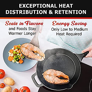 Mueller Pre-Seasoned Heavy-Duty Healthy Cast Iron Skillet 10-inch, Cast Iron Pan, Dual Handles & Dual Pouring Lips, Safe across All Cooktops, Oven, BBQ, or Campfire