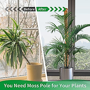 Galiejar Moss Pole,27'' Bendable Moss Pole for Plants Monstera,Plant Stakes Plant Support Monstera Pole Moss Poles for Climbing Plants (2PC)