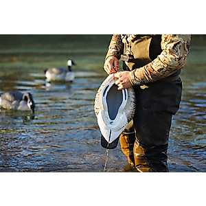 Ultralight 100% HydroFoam Canada Goose 4 Pack - Light as a Feather - Lasts Forever
