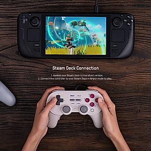 8BitDo Pro 2 Wired Controller for Switch, Windows, Steam Deck & Raspberry Pi (Gray Edition)