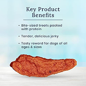Blue Buffalo Nudges Jerky Bites Natural Dog Treats, Chicken, 5oz Bags