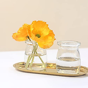 Magic Season Decorative Glass Bottles with Cork Stopper (3.3 oz. Pudding Bottles / 6 Pcs)