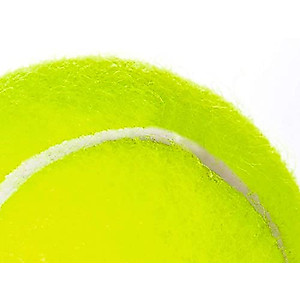 Penn Championship High Altitude Head Tennis Balls – 2 Pack 6 Balls Yellow - USTA & ITF Approved - Official Ball of The United States Tennis Association Leagues - Natural Rubber for consistent Play