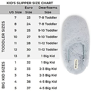 Dearfoams Washable Brin Pile Scuff Slipper, Sleet, 2-3 US Unisex Big Kid