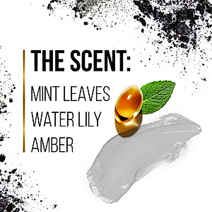 Pantene Pro-v Blends Charcoal Conditioner, 10.1 Fluid Ounce