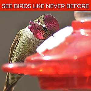 Large Leak Proof Window Hummingbird Feeders for Outdoors Hanging - Ant and Bee Proof - Window Hummingbird Feeder for Outdoor - Hummingbird Feeder Window Mount