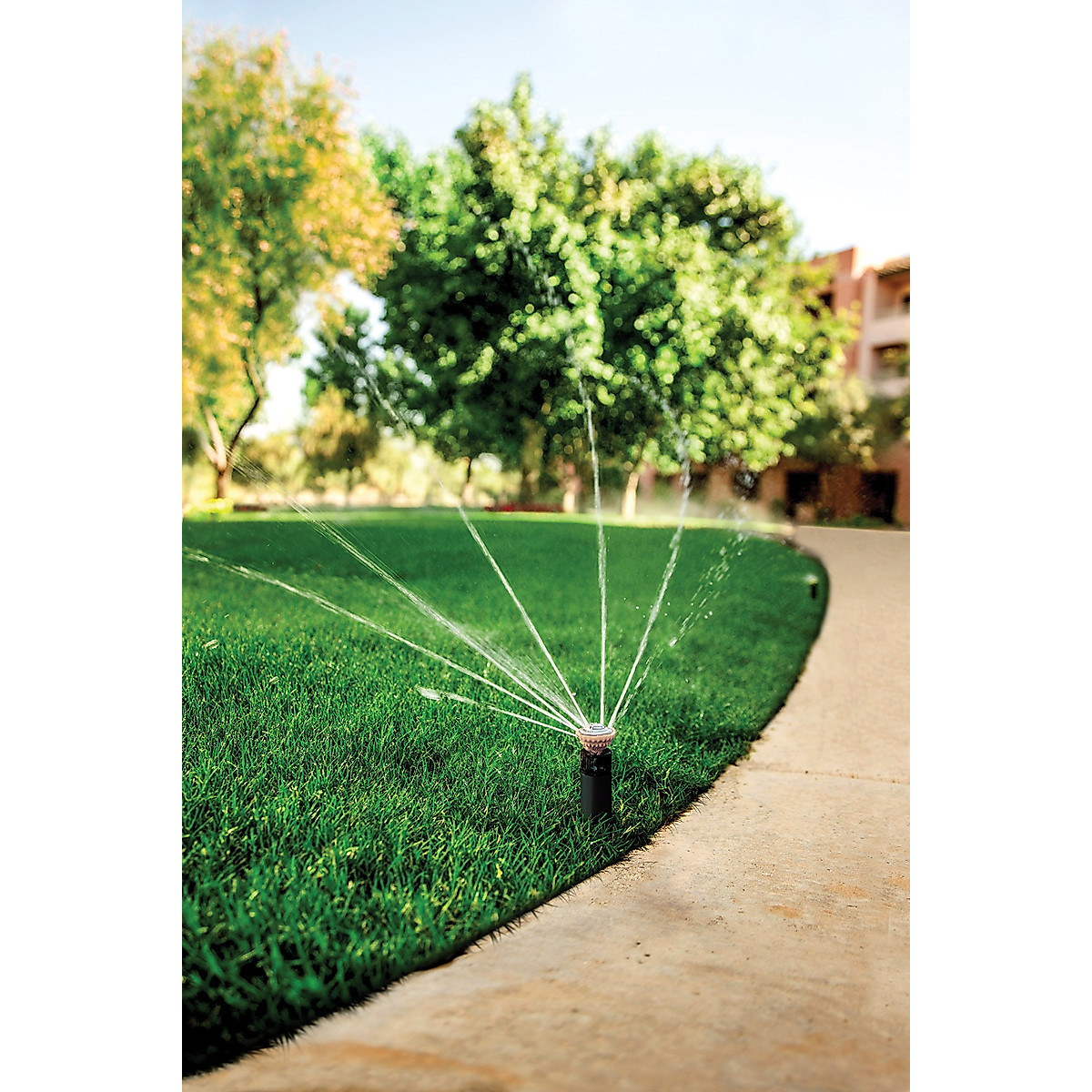 Rain Bird 12SA-RVAN Mini Rotary Pop-Up Spray, Hand Adjustable 45° - 270° Pattern, 13' - 18' Spray Distance, 4" Pop-up Height