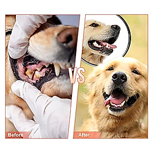 MONDOTOY Dog Chew Toys,Tough Dog Toys for Aggressive Chewers,Durable Rubber Puppy Toy for Training and Teeth Cleaning,Suitable for Meduium Large Breed,Gifts for Halloween Chirstmas